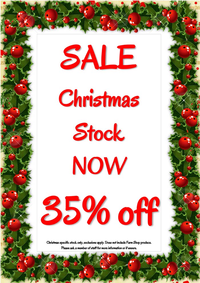 Christmas Sale at Meadow Grange Nursery near Canterbury